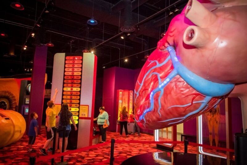 Houston: 1-Day or 3-Day Museum Pass - Exploring Houston’s Museums: What to Expect