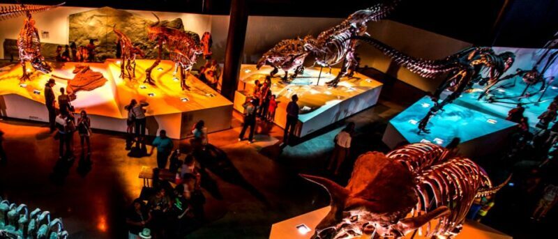 Houston: 1-Day or 3-Day Museum Pass - The Natural Science & History Highlights
