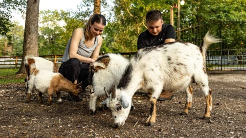 Houston: Adorable mini goats experience e - Practical Details