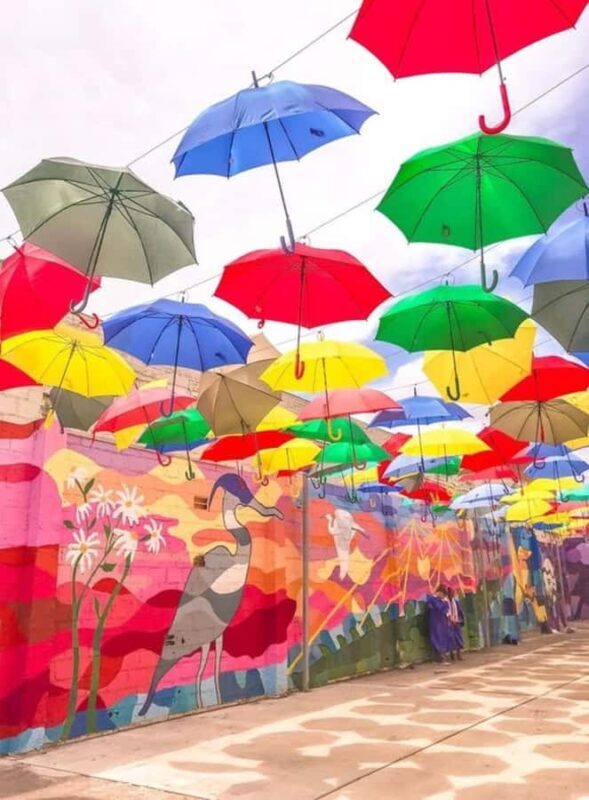 Houston : Best Street Food Tour With A Local Guide - Exploring Houston’s Food Scene on Foot