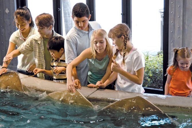 Houston City Tour and Downtown Aquarium All Rides Pass - Authenticity and Quality of Guides