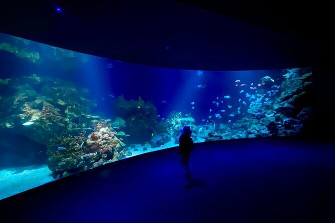 Houston Downtown Highlights Private Guided Walking Tour - FAQ