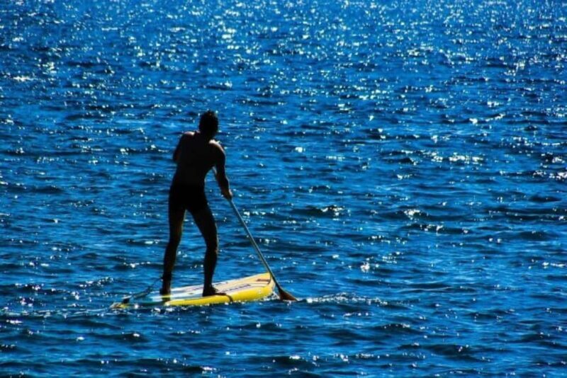 Houston: Kayak and Paddleboard Rental - Exploring Buffalo Bayou from the Water