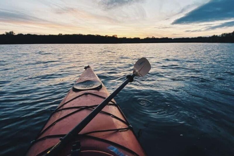 Houston: Kayak and Paddleboard Rental - Why This Experience Stands Out