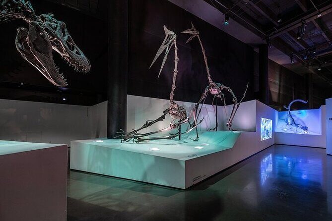 Houston Museum of Natural Science and Cockrell Butterfly Center - The Experience and the Reviews