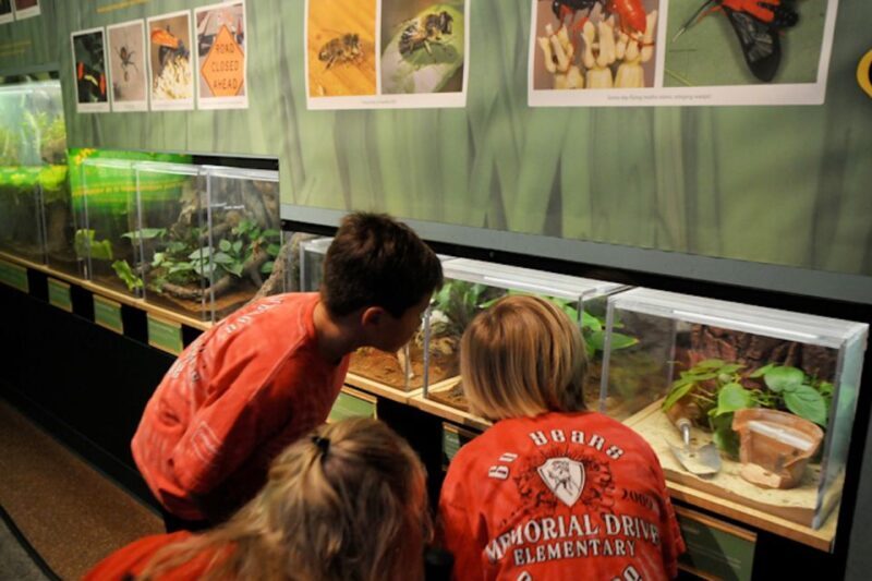 Houston Museum of Natural Science: Cockrell Butterfly Center - Authentic Feedback and Visitor Experience