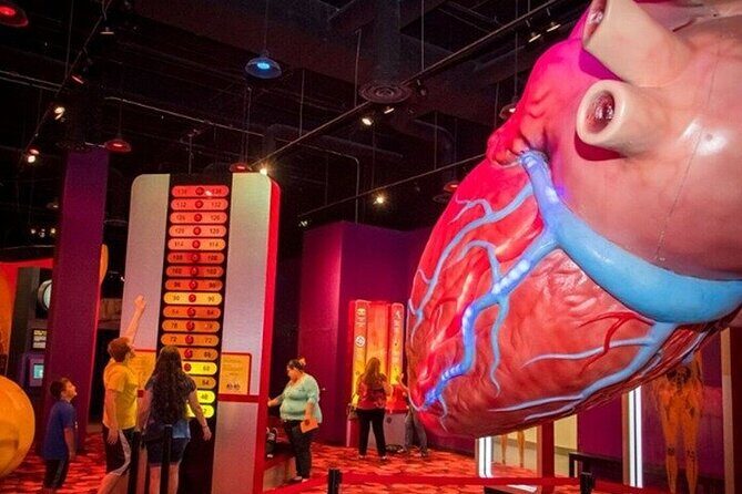 Houston Museum Pass - The Itinerary and Museums Included