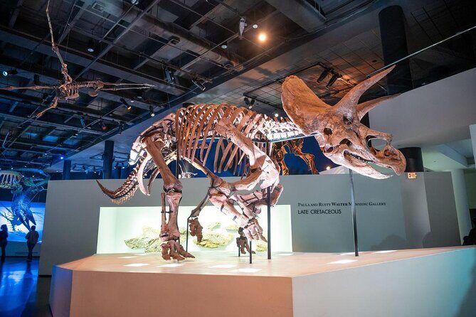 Houston Museum Pass - Final Thoughts