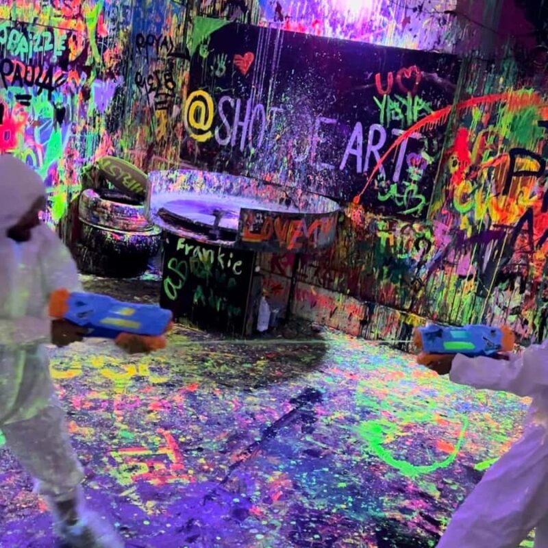 Houston: Private Paint Therapy Experience (Neon Light) - Key Points