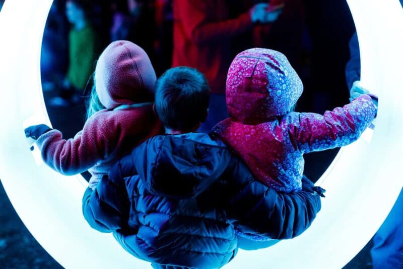 Houston: Radiant Nature Winter Light Show Tickets - Cultural and Market Offerings