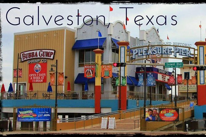 Houston Sightseeing Tour and Galveston Day Trip - Who Should Take This Tour?