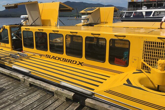Hovercraft Eco Adventure and Wildlife Viewing - Who Will Love This Tour?