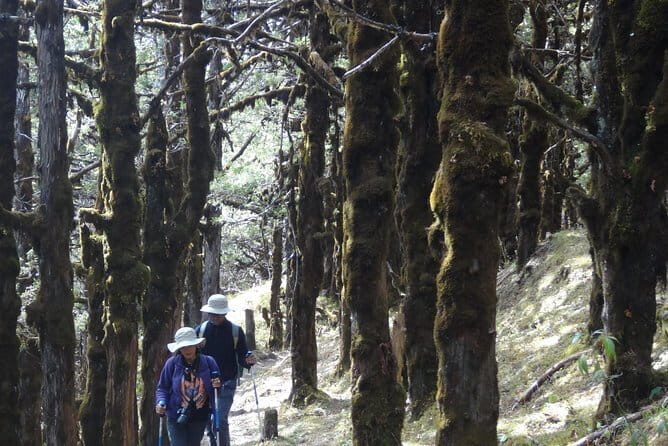 How to travel to Bhutan - What the Tour Includes