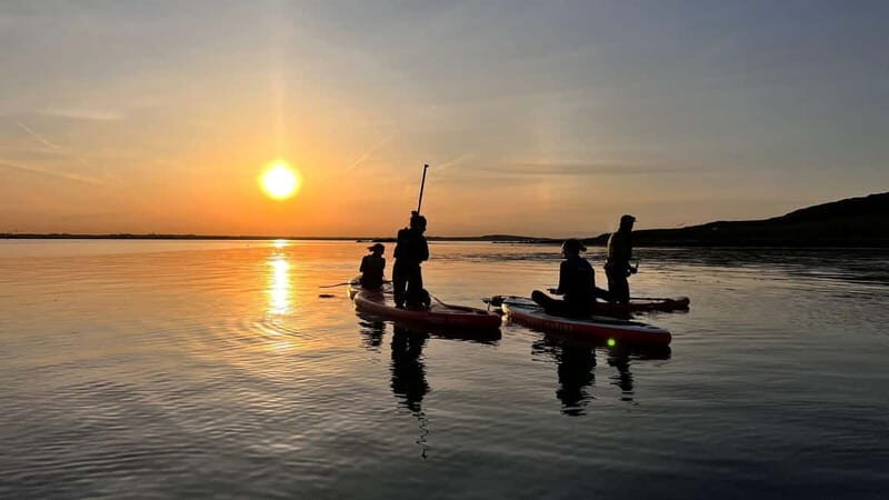 Howth: Paddleboarding Lesson in Howth Harbour - Key Points
