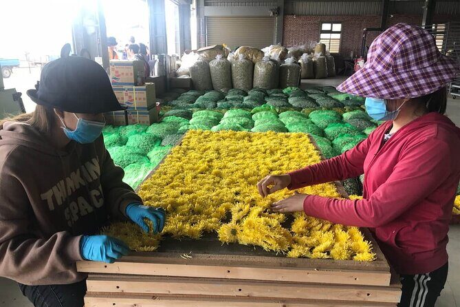 Hsinchu Sugar Culture and Dried Persimmon Experience from Taipei - An In-Depth Look at the Tour Experience