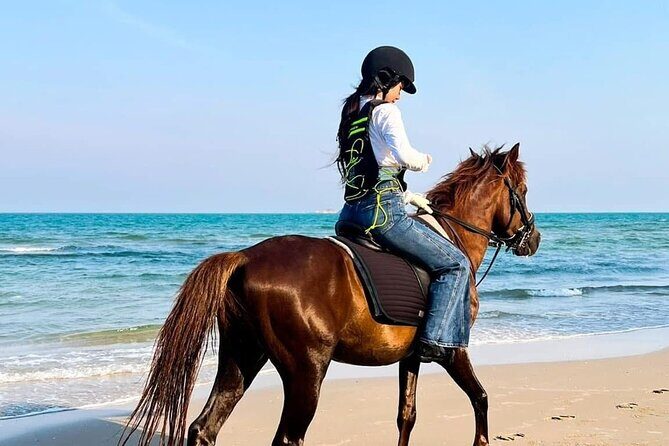 Hua Hin Beach and Trail Horseback Riding Experience - An Introduction to Hua Hin Beach Horseback Riding