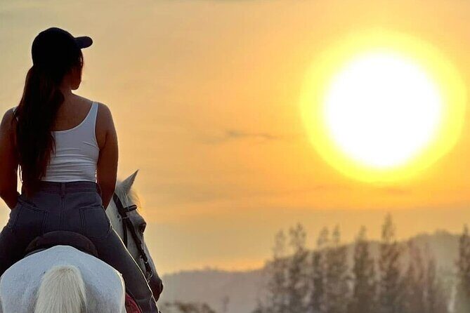 Hua Hin Beach and Trail Horseback Riding Experience - The Experience in Action: Real Traveler Insights