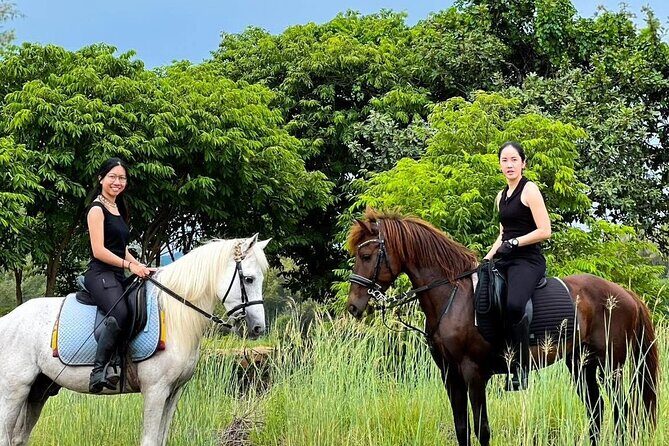 Hua Hin Beach and Trail Horseback Riding Experience - Who Will Love This Experience?