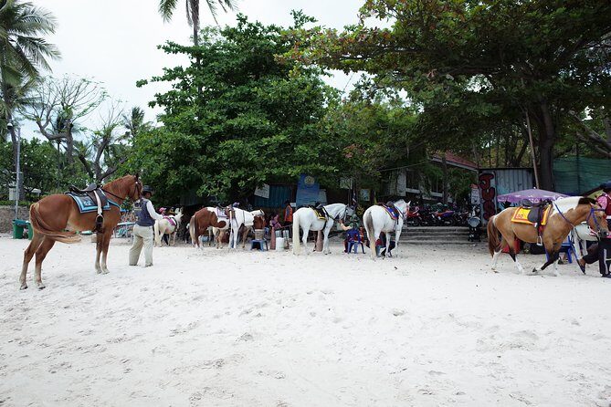 Hua Hin customize day tour - FAQs