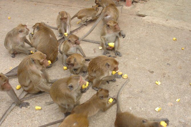 Hua Hin High Light & Vineyard - Key Points