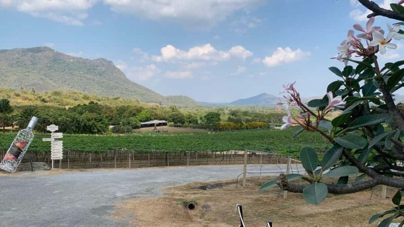 Hua Hin: Monsoon Valley Wine Tasting & Temple Tour - Practical Tips for Travelers