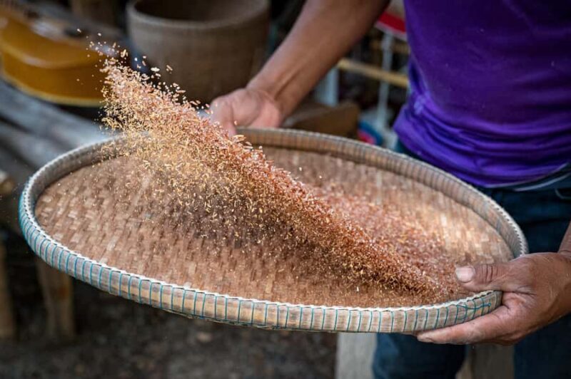 Hua Hin: Rice Farm Experience with Lunch in Phetchaburi - Key Points