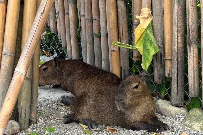 Hualien Tour in Qixingtan Beach, Liyu Lake, and Lintianshan Park - Starting Point: Hualien Train Station
