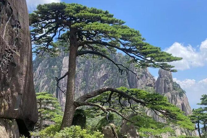 Huangshan and Hongcun 2 Day Tour with Mountain Overnight - Final Thoughts