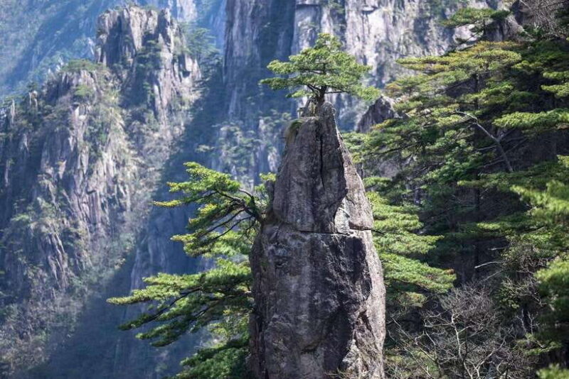 Huangshan: Mountain Top Day Trip with Cable Car and Pickup - Key Points