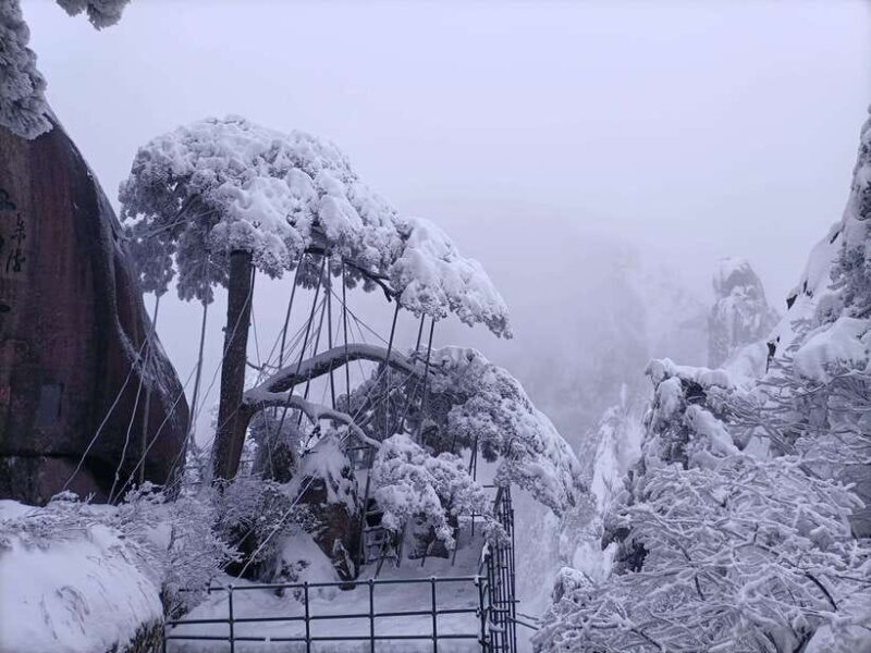 Huangshan: Mountain Top Day Trip with Cable Car and Pickup - An Authentic Taste of Huangshan’s Majesty