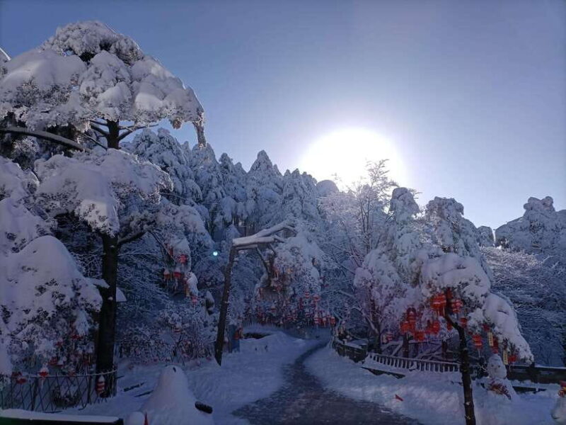 Huangshan: Mountain Top Day Trip with Cable Car and Pickup - Who Would Love This Tour?
