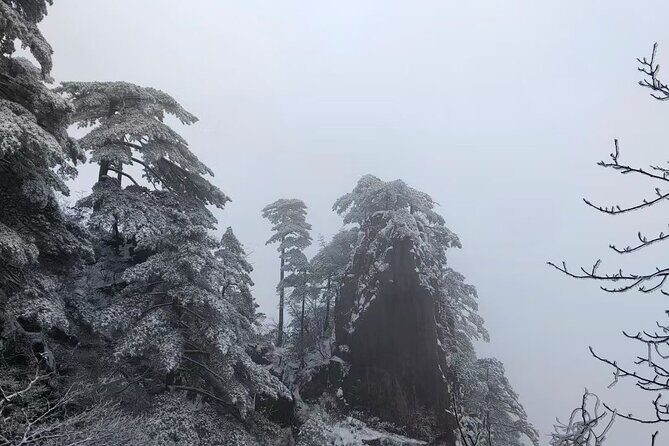 Huangshan or Hongcun and Xidi or Qiyun Mountain Day Tour - Final Thoughts