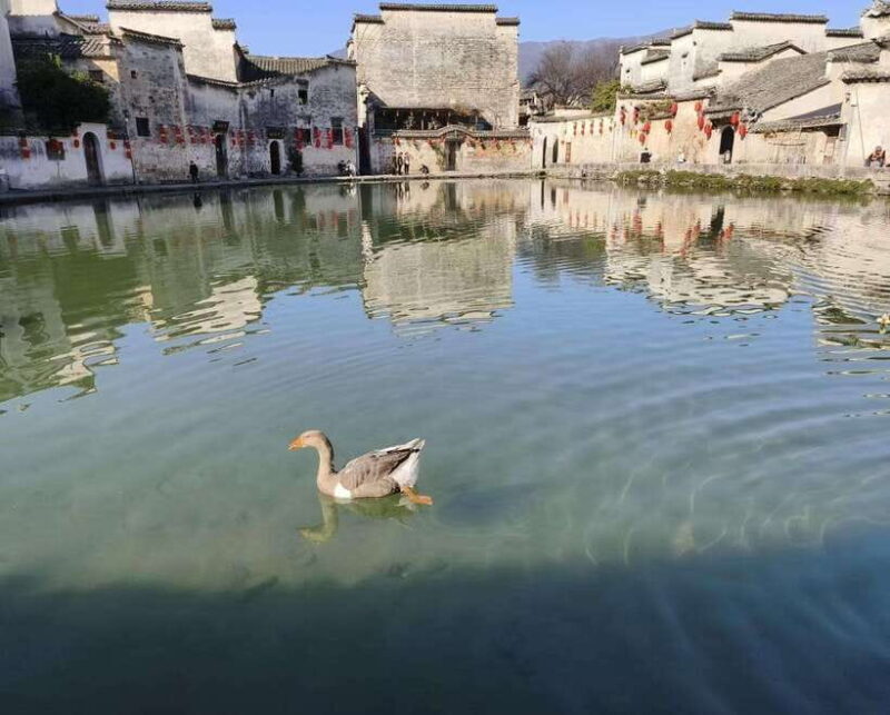 HuangshanAncient Huizhou Villages Xidi and Hongcun Day Trip - What Makes This Tour Stand Out