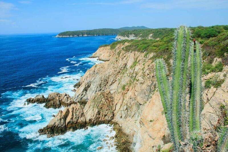 Huatulco: 5-Bay Exclusive Premium Panga Experience - The Sum Up