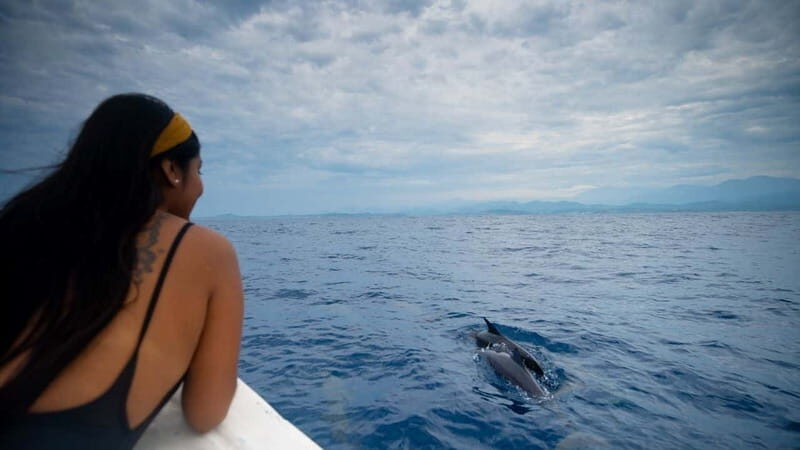 Huatulco: Awakening with Stars Dolphins Boat Cruise - Practical Details and What to Expect