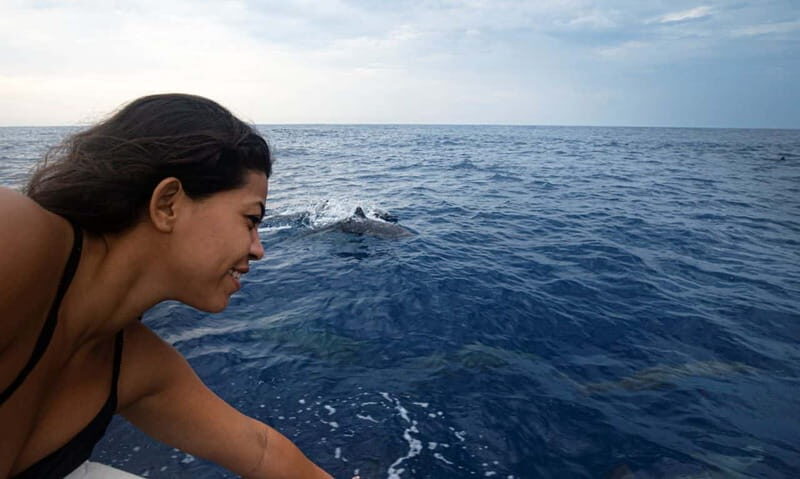 Huatulco: Awakening with Stars Dolphins Boat Cruise - Real Experiences and Honest Feedback