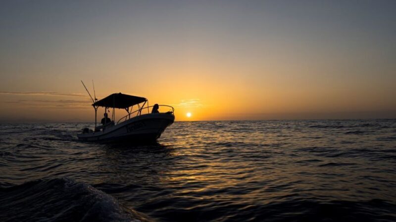 Huatulco: Awakening with Stars Dolphins Boat Cruise - Who Should Consider Booking?