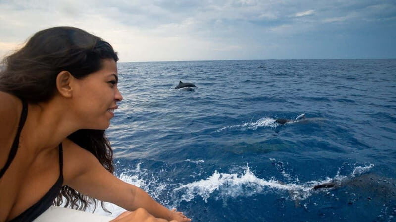 Huatulco: Awakening with Stars Dolphins Boat Cruise - Final Thoughts: Is This the Right Tour for You?