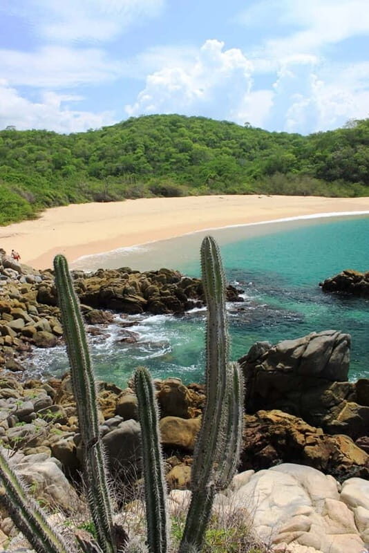 Huatulco: Bays of Huatulco boat tour - Final Thoughts: Who Will Love This Tour?