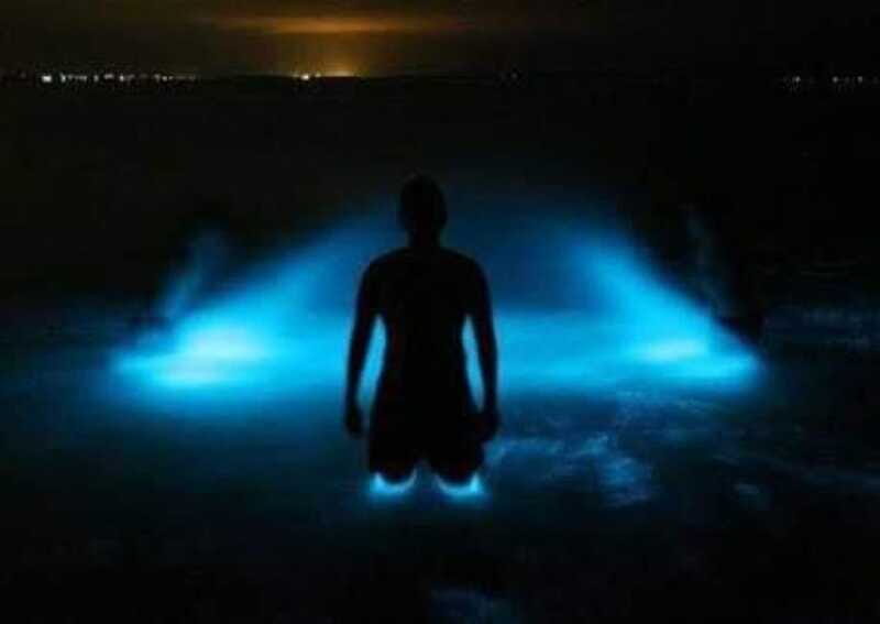 Huatulco: Bio and Liberation Tour - FAQ
