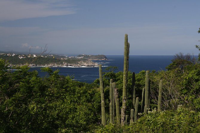 Huatulco City Tour - FAQ
