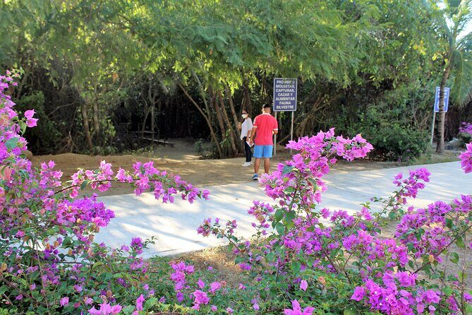 Huatulco hiking, viewpoints and Snorkling - An Authentic Mix of Nature and Adventure