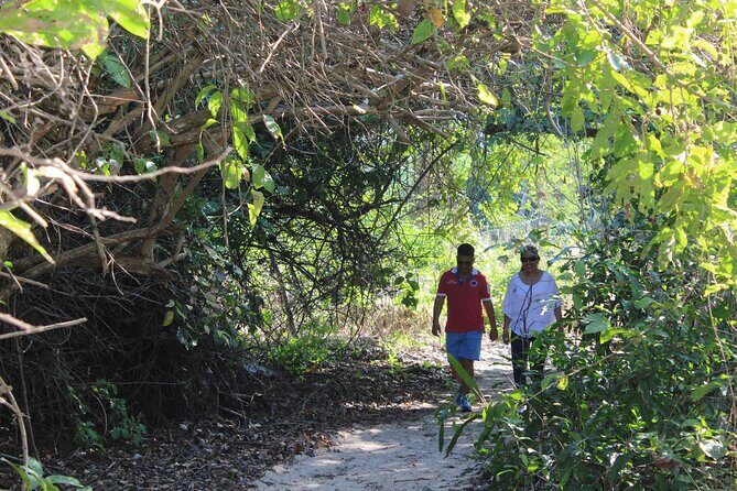 Huatulco hiking, viewpoints and Snorkling - The Value of This Tour