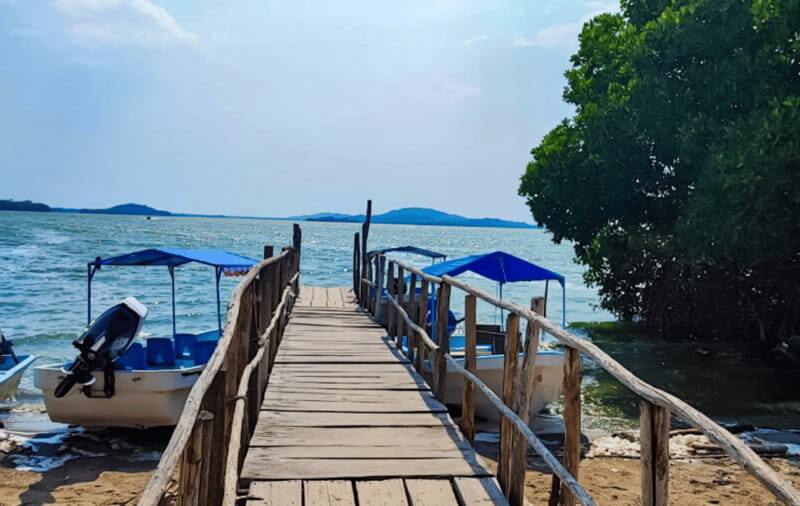 Huatulco: Laguna de Chacahua Exploration - Visiting the Chacahua Community and Crocodile Center