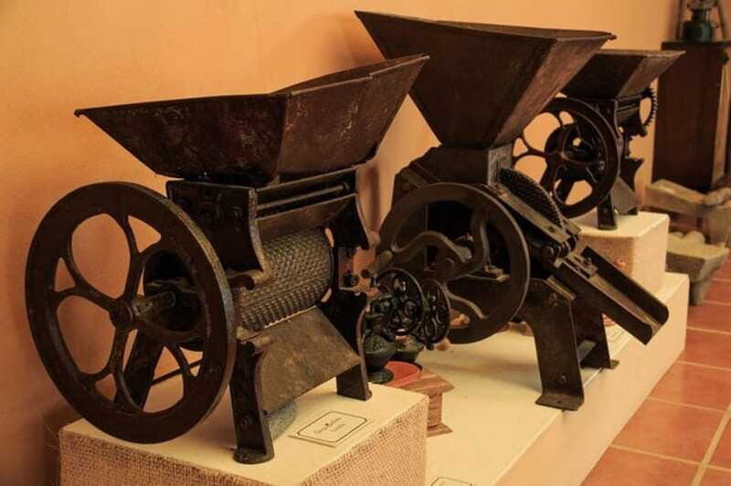 Huatulco: Local Coffee Tasting and Cultural Experience - Price and Value