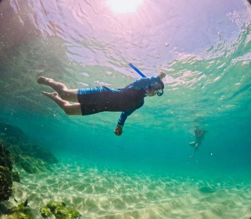 Huatulco: Marine mammal sighting and snorkeling - Key Points