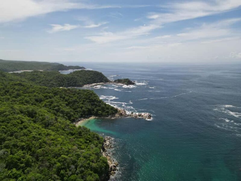 Huatulco: Marine mammal sighting and snorkeling - Real Traveler Insights