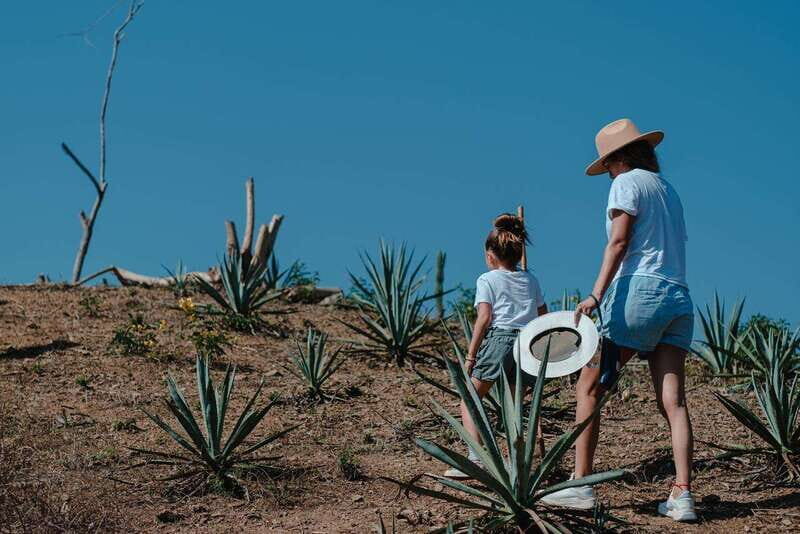 Huatulco: Mezcal and Gastronomic Tour - Practical Tips for Participants