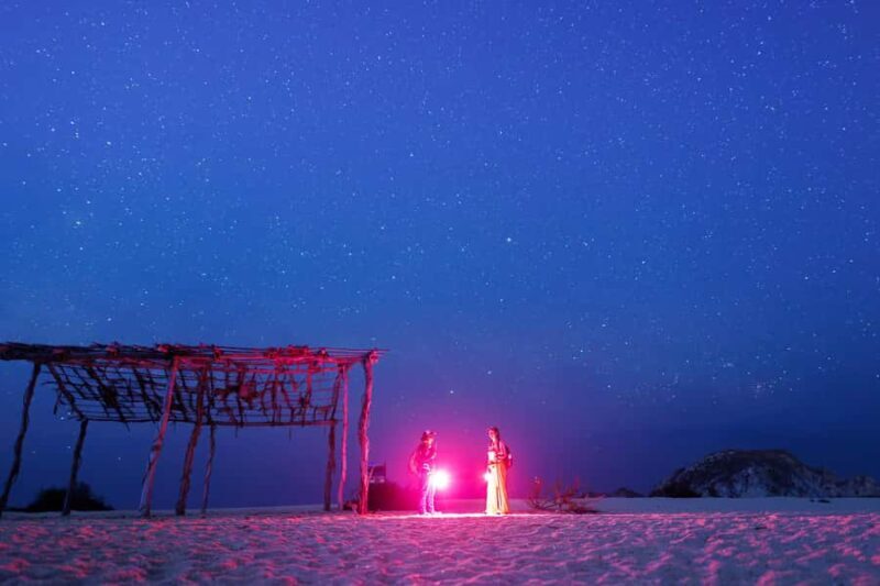 Huatulco: Nighttime sea turtle monitoring guided by a biologist - Introduction: A Unique Nighttime Adventure in Huatulco