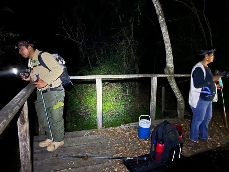 Huatulco: Nighttime sea turtle monitoring guided by a biologist - The Itinerary Breakdown